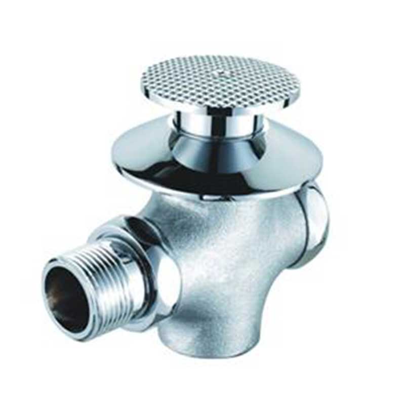 Time Delay Toilet Flusher In Public Washroom & Bathroom For Sale